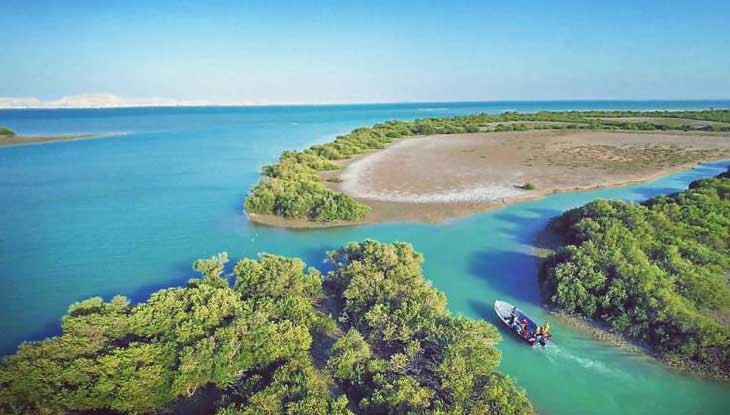 همه چیز مورد جزیره قشم - همه آنچیزی که در خصوص جزیره قشم به آن نیاز دارید