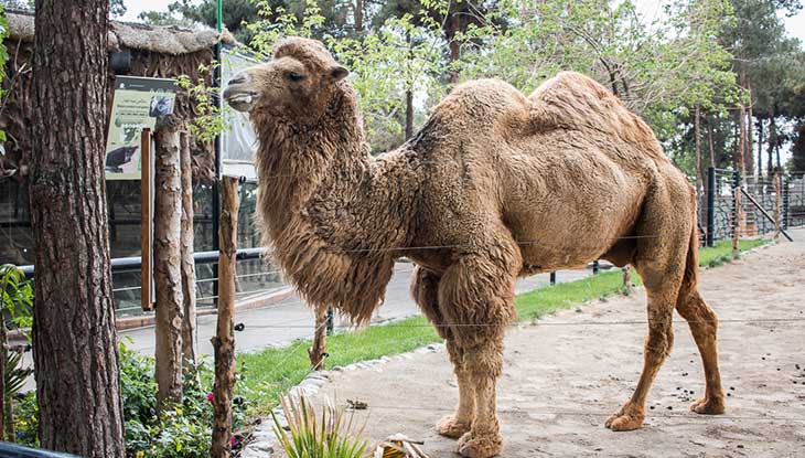 پارک ارم تهران کجاست؟ آدرس، تصاویر، هزینه بازدید و نزدیک ترین مترو به ...